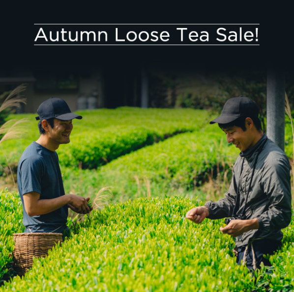 10% Off Loose Leaf Teas – Den's Tea Wholesale